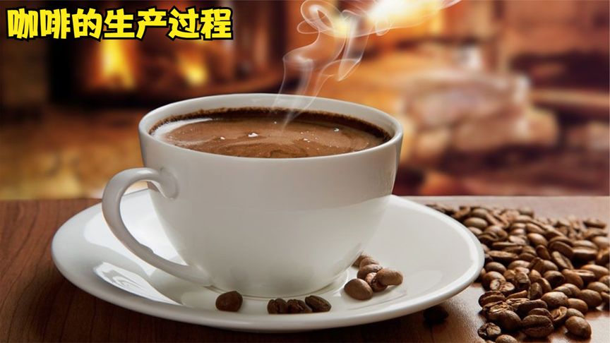 带大家了解速溶咖啡的生产过程