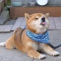 H夏天的爱人是绿色
