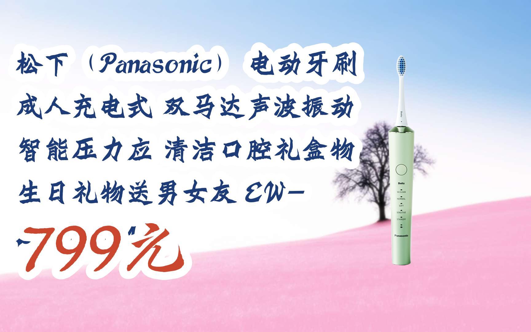 【11好礼】松下(Panasonic) 电动牙刷 成人充电式 双马达声波振动 ...