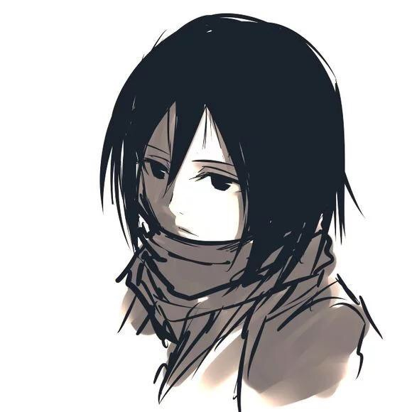 Mikasa_33 