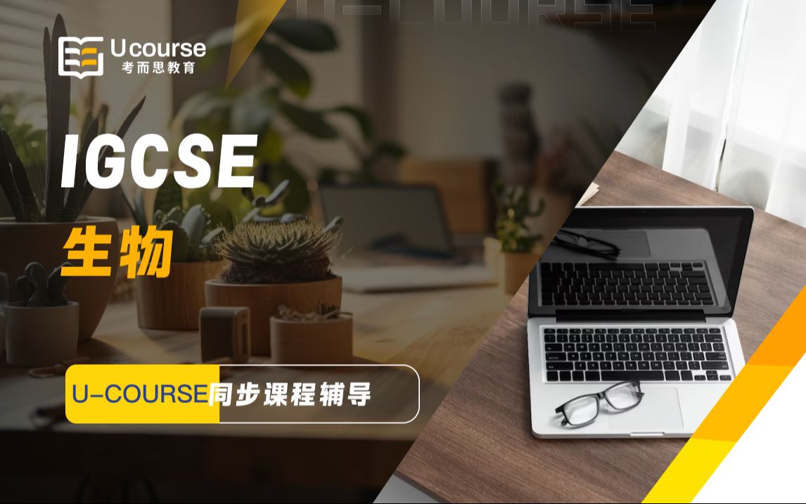 国际课程-IGCSE-生物-北京耀中国际学校-同步课程辅导