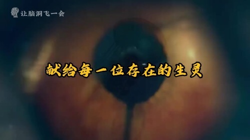 地球动物寿命排名,生命周而复始