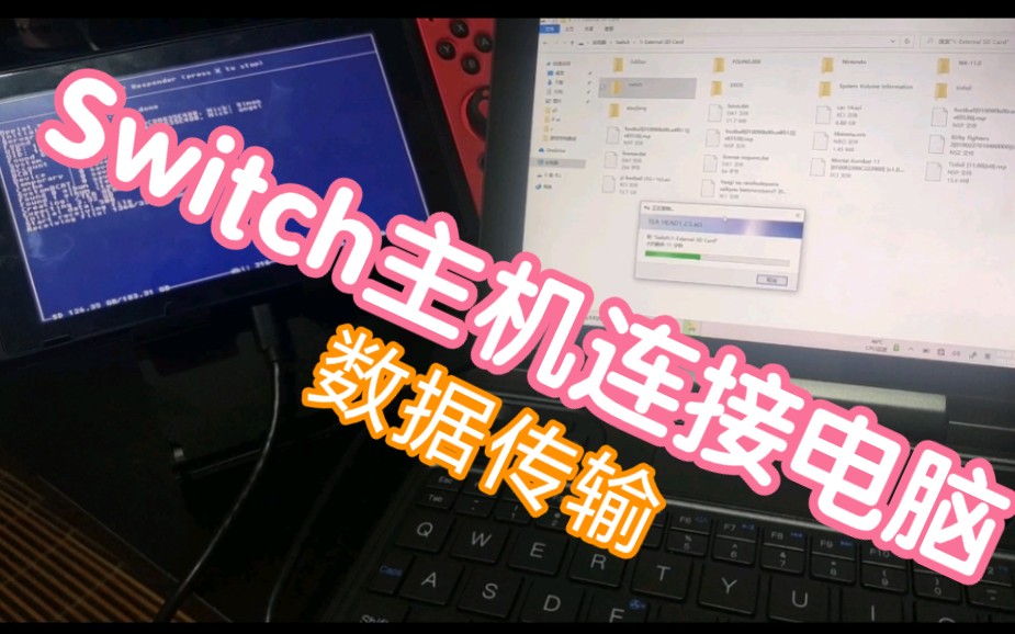 【分享】switch主机连接电脑～进行数据传输_单机游戏热门视频