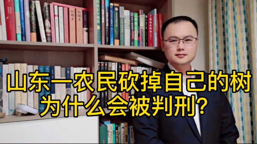 山东一农民砍掉自己的树,为什么会被判刑?原来法律规定在这!