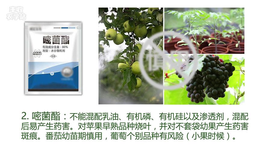 8种常见农药杀菌剂的使用方法和注意事项,必须收藏