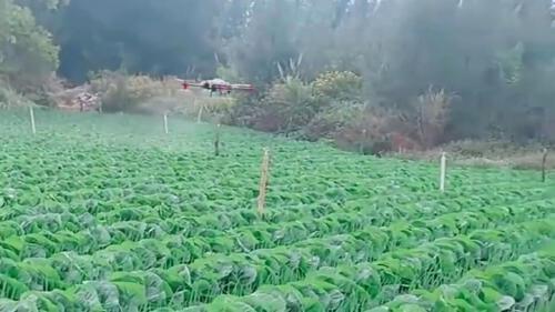 安徽农村大叔太聪明了,现在种菜都会使用高科技来喷洒农药,佩服!