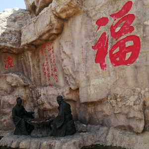 软件设计开发6666 