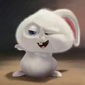 迈瑞MARV 