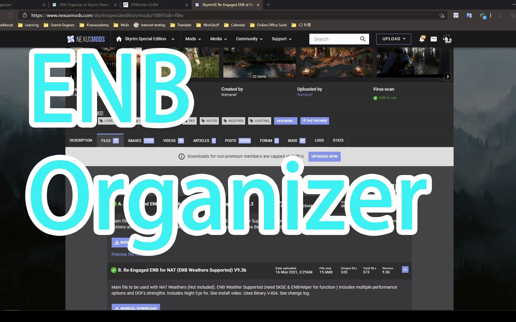 ENB Organizer安装和配置
