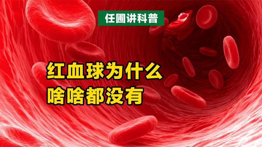 任圃讲科普-哺乳类的红血球为何没有细胞核与粒线体?也没有MHC?