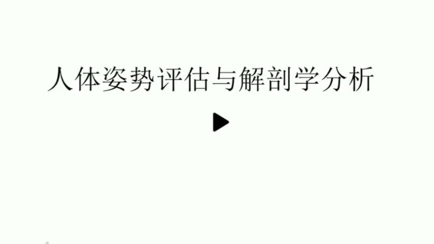 人体姿势评估与解剖学分析