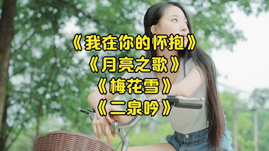 董文华好歌:《我在你的怀抱里》-月亮之歌-《梅花雪》《二泉吟》