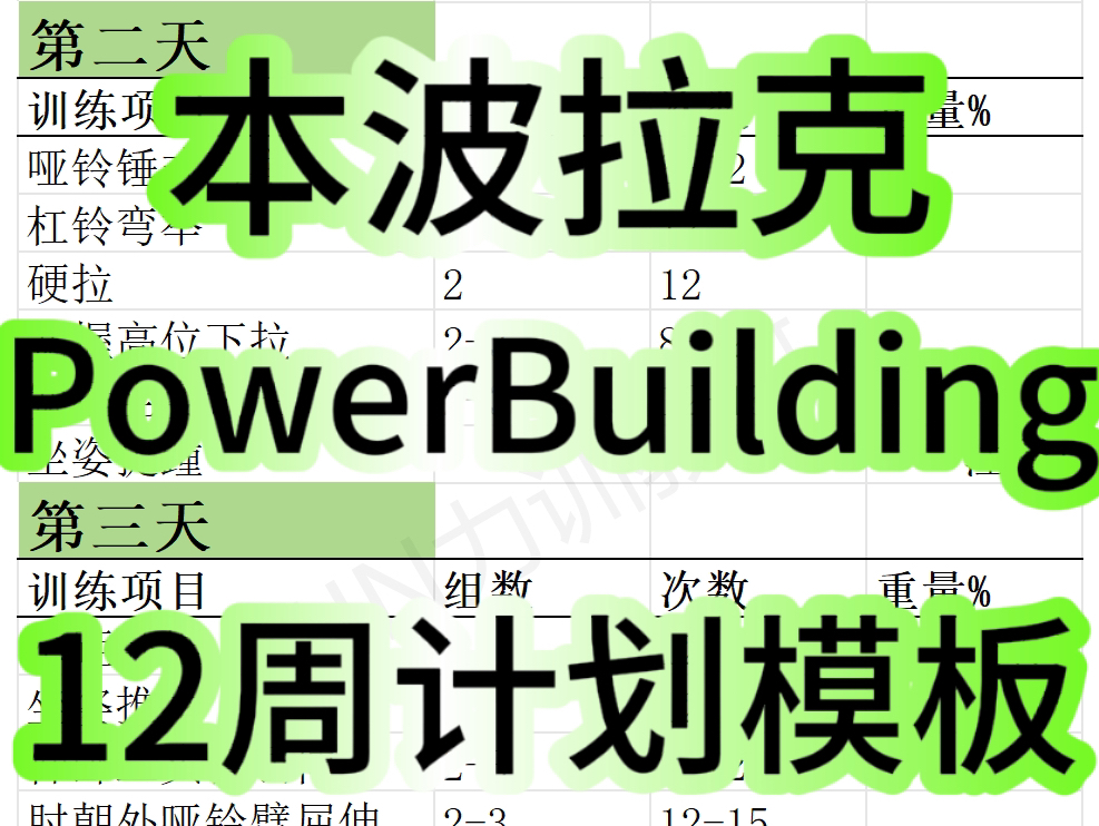 本波拉克12周计划模板