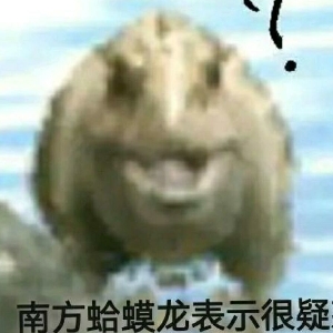 南方蛤蟆龙 