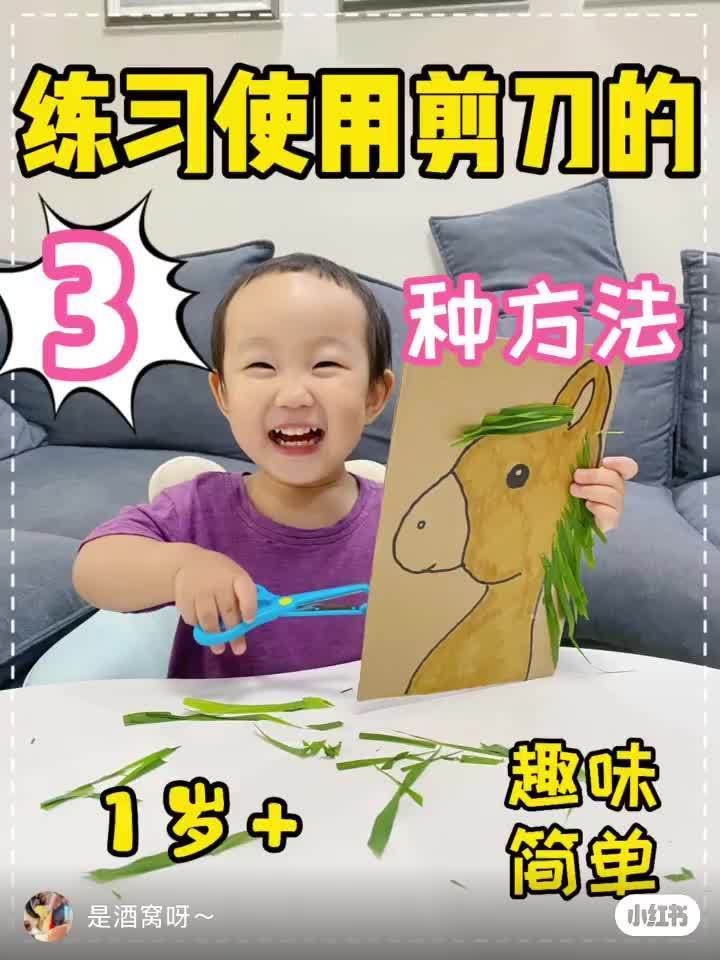 练习使用剪刀的方法Ⅰ在家早教