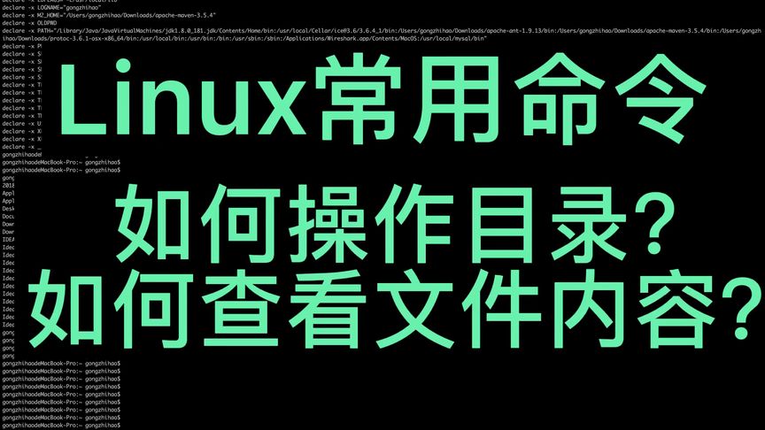Linux常用命令-如何操作目录?如何查看文件内容?
