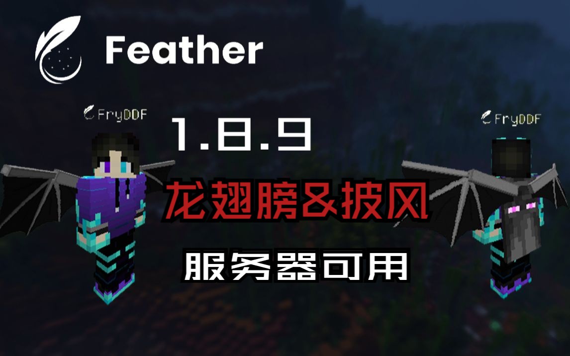 【我的世界】如何在服务器使用皮肤和翅膀?
