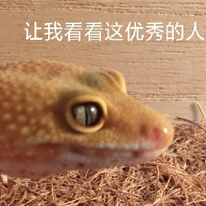 小螳螂很皮 