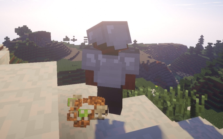 【影君】【简单的服务器连接教程】【新手向】