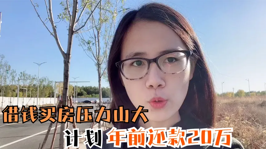 借钱买房什么感受?比还房贷压力还大,北漂姑娘计划年前还款20万