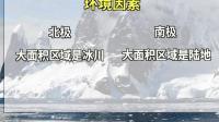 北极熊与南极企鹅