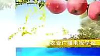 最好的洗衣机维修视频教程 标清