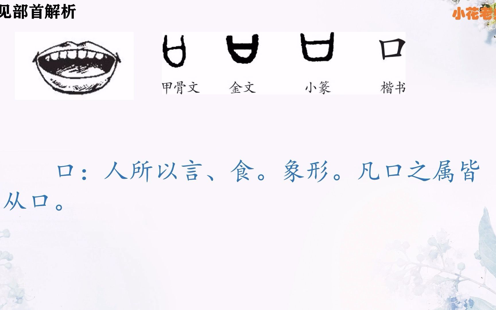 字理识字——人物篇(口言欠舌部)