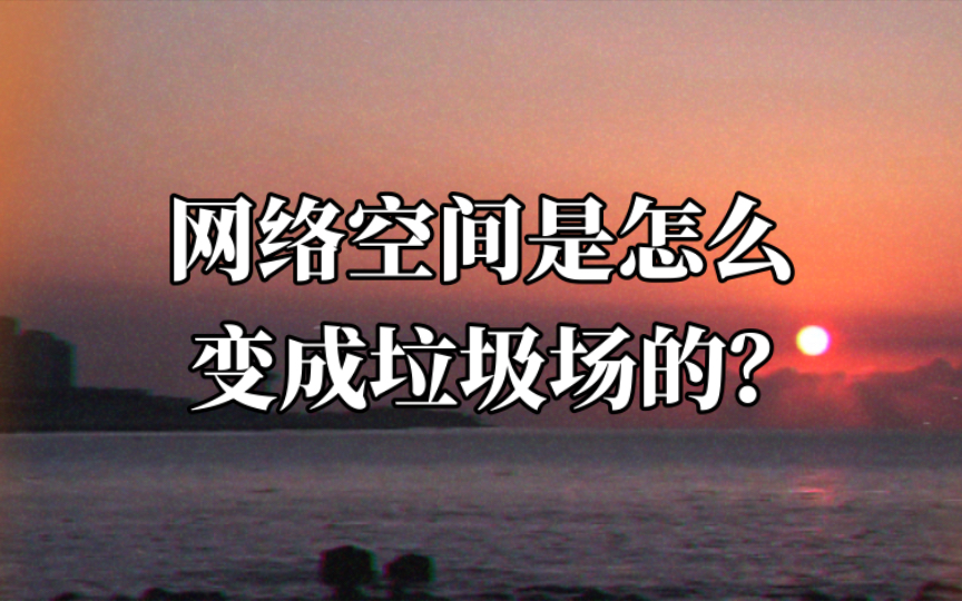 网络的沦丧与「网络公民身份」(netizen-ship)