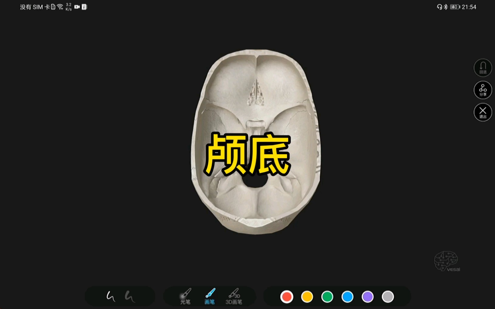 颅底内面观的3D解剖