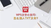 WPS文字教程:怎么插入TXT文本?