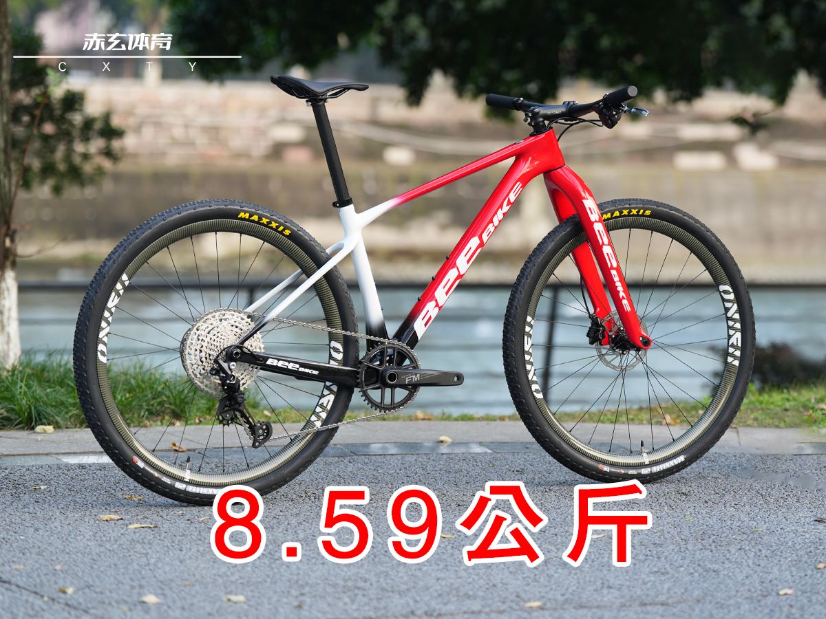 8.59公斤DIY定制组装BEE山马碳纤维山地自行车