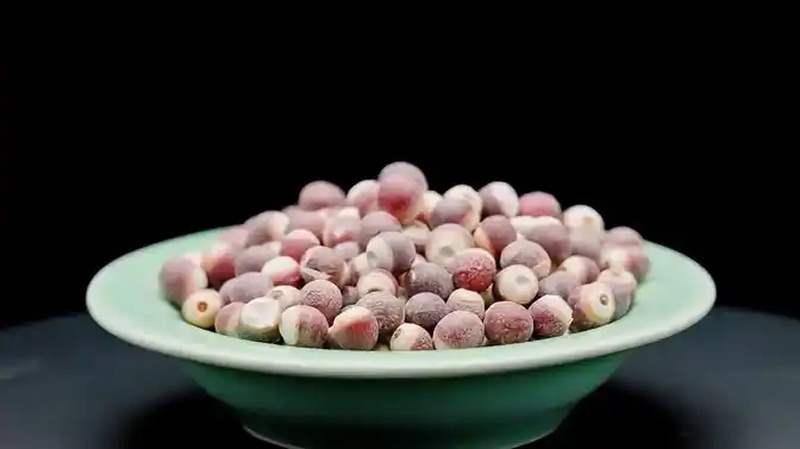 鸡头米是什么东西?它其实是一种水生草本植物芡的成熟果实