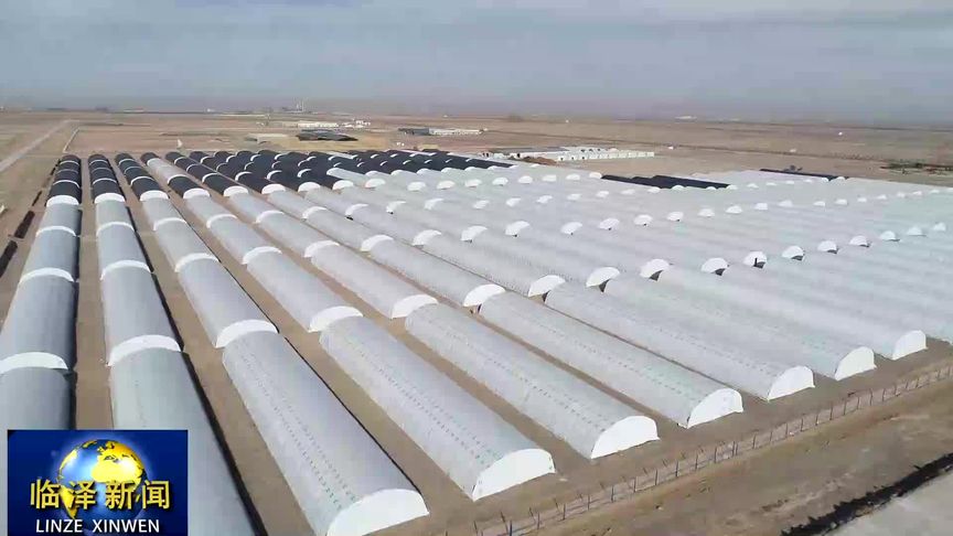 临泽十大生态产业增加值占GDP比重 位居全市第一