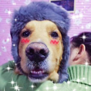 弹总