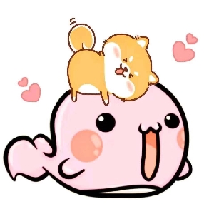 云南专升本鲸蜗蜗 
