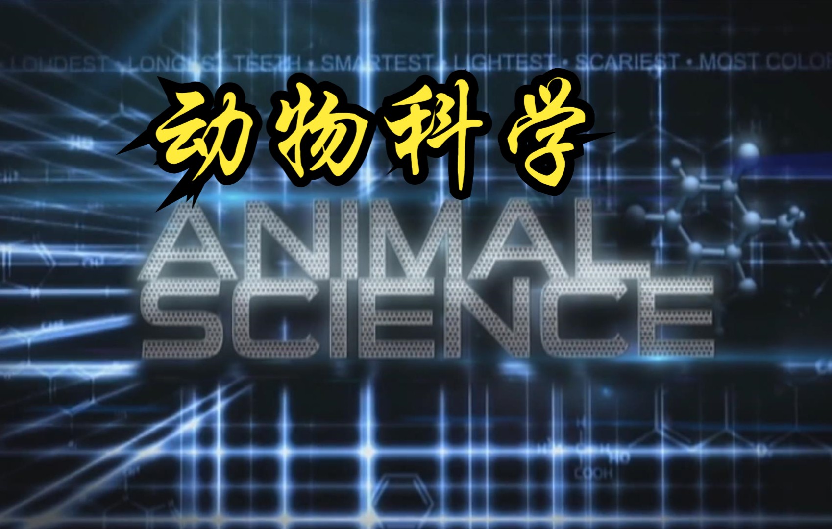 【美国】【纪录片】动物科学 Animal Science