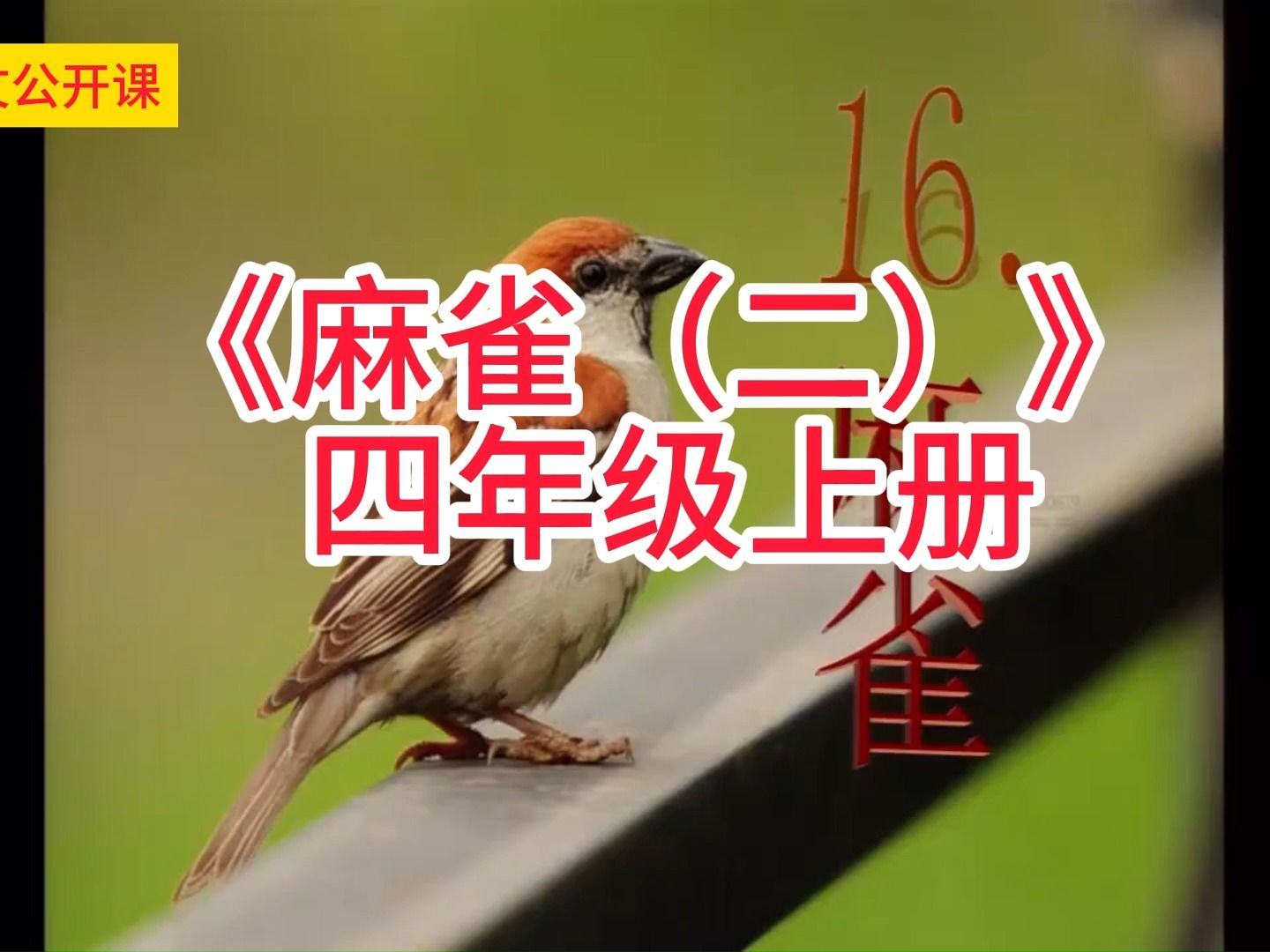 四年级上册《麻雀(二)》 小学语文学习任务群名师优质课公开课示范课(...