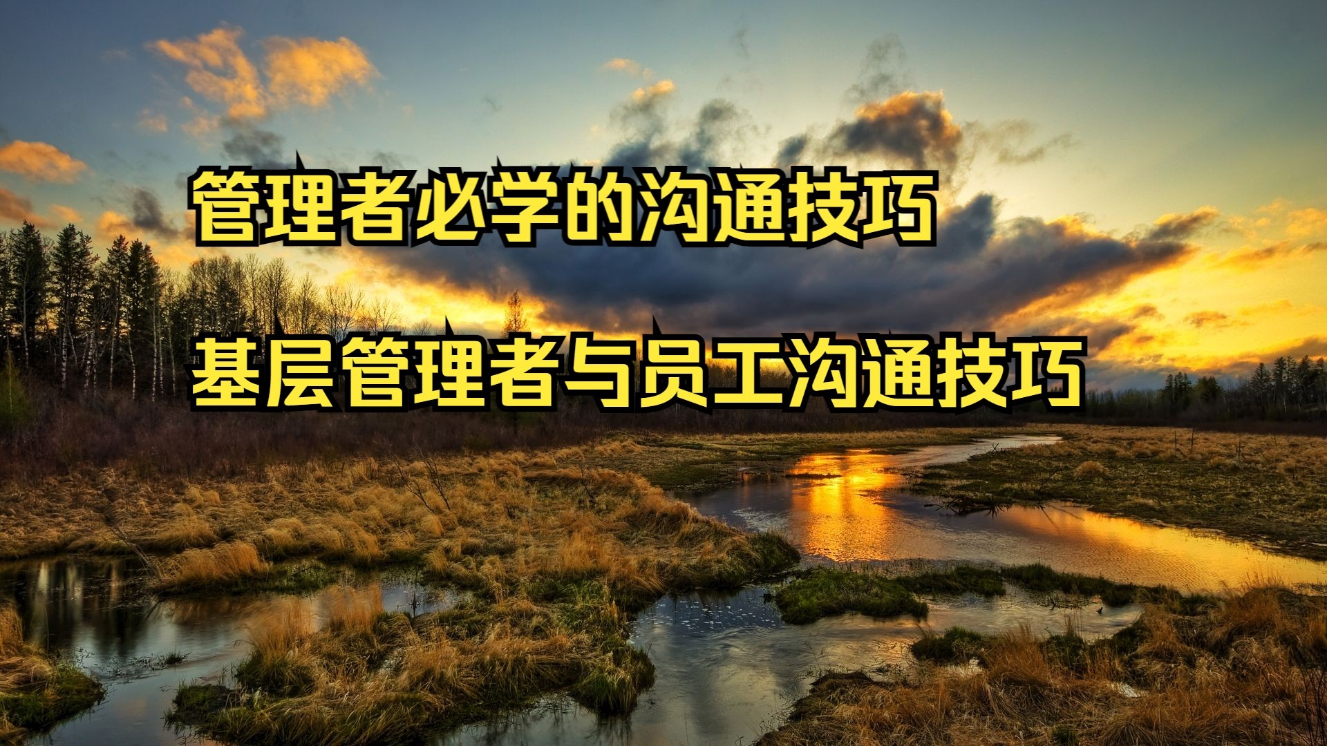 管理者必学的沟通技巧 基层管理者与员工沟通技巧 管理沟通 本科教