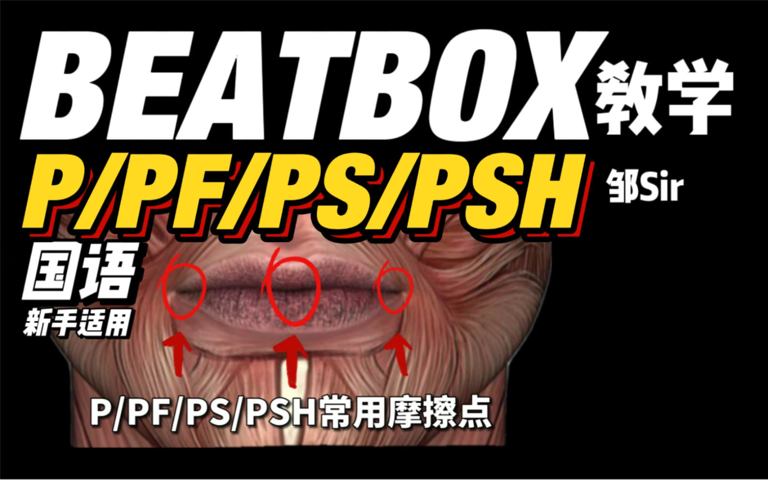 邹Sir_BEATBOX课堂 | P/PF/PS/PSH基础发音教学 | 适用于零基础 | ...