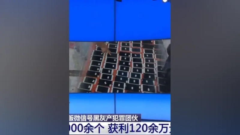 警惕你的微信号成为黑灰产的帮凶! #微信号被盗 #微信号