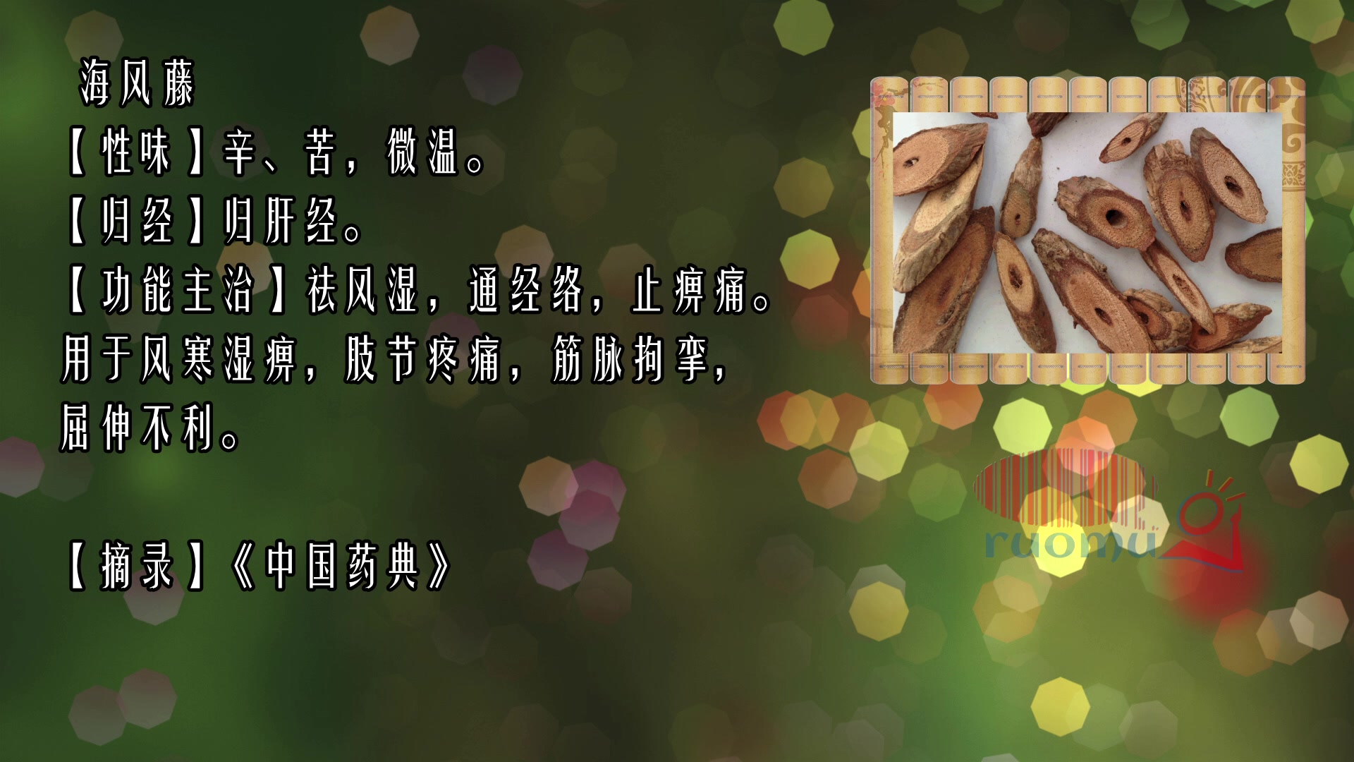 海风藤-中医药材