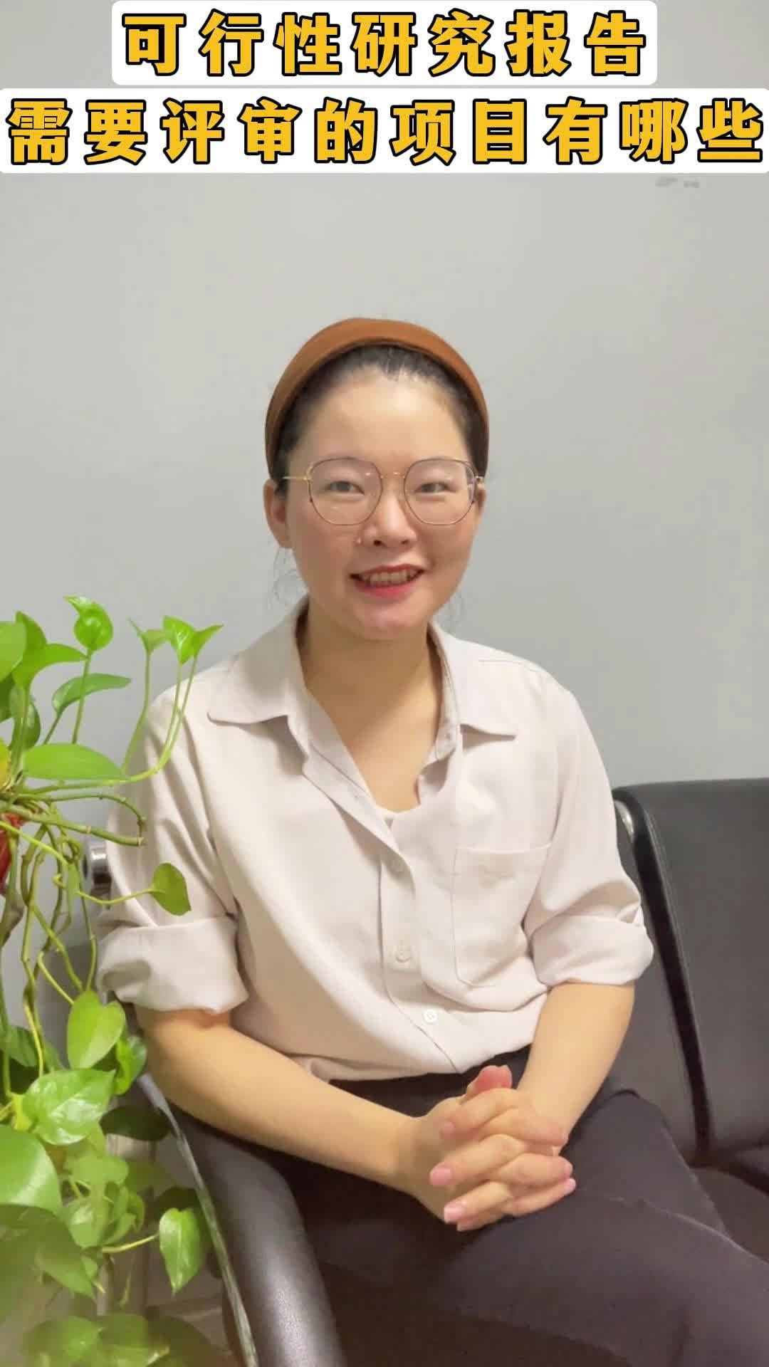 可行性研究报告需要评审的项目