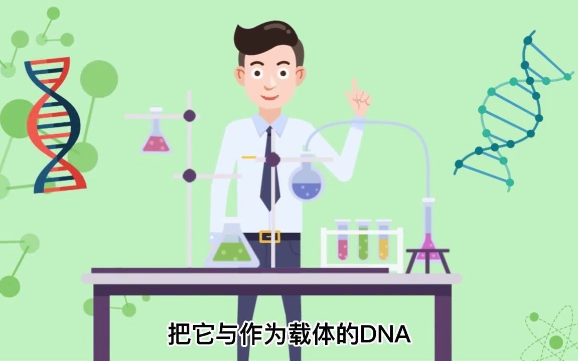 基因是可以拼接的!没错,这就是基因工程