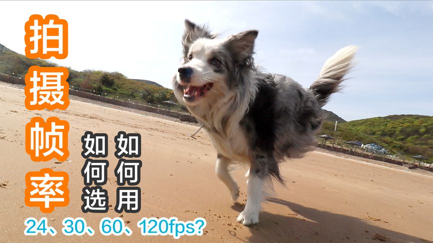 拍摄帧率大剖析!拍视频如何选择、使用不同拍摄帧率?wulisaosao