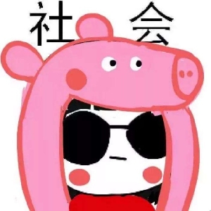 八十岁脑投子 