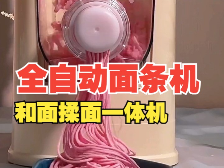 厨逸轩第八代全自动面条机家用自动和面出面面条机 压面机 多功能...