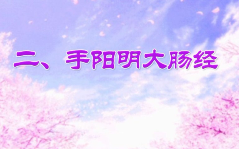 【针灸干货】手阳明大肠经循行及要穴☕