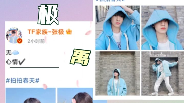 〖极禹〗两个偷偷约定前后脚发微博的小朋友TF张泽禹TF张极