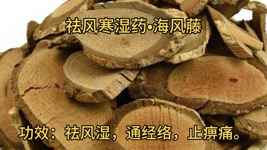 介绍祛风寒湿药•海风藤,功效犹如一阵海风拂去身体上的痹痛不利
