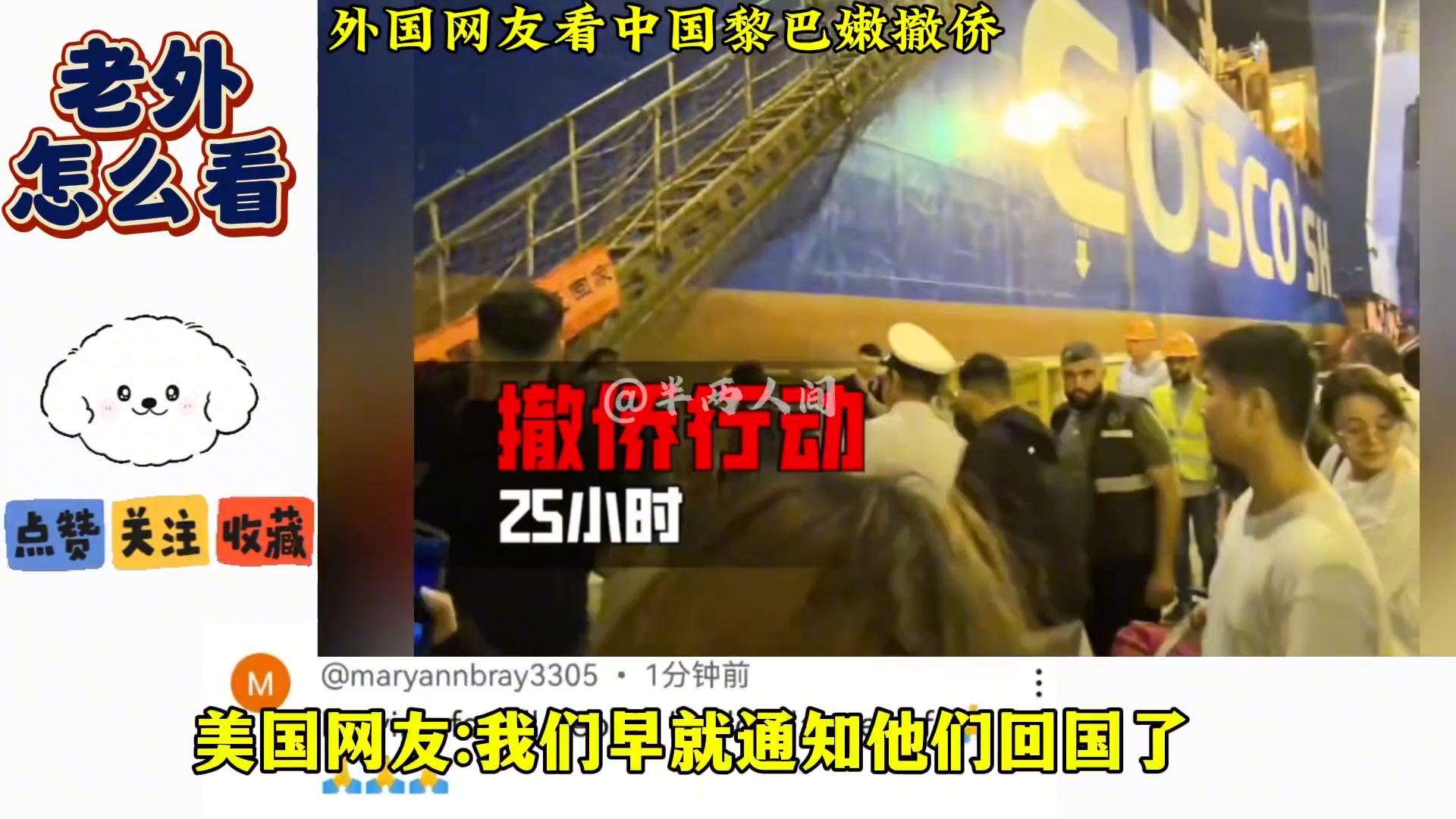 外国网友看中国黎巴嫩霸气撤侨!国外网友:这飞机谁敢动?